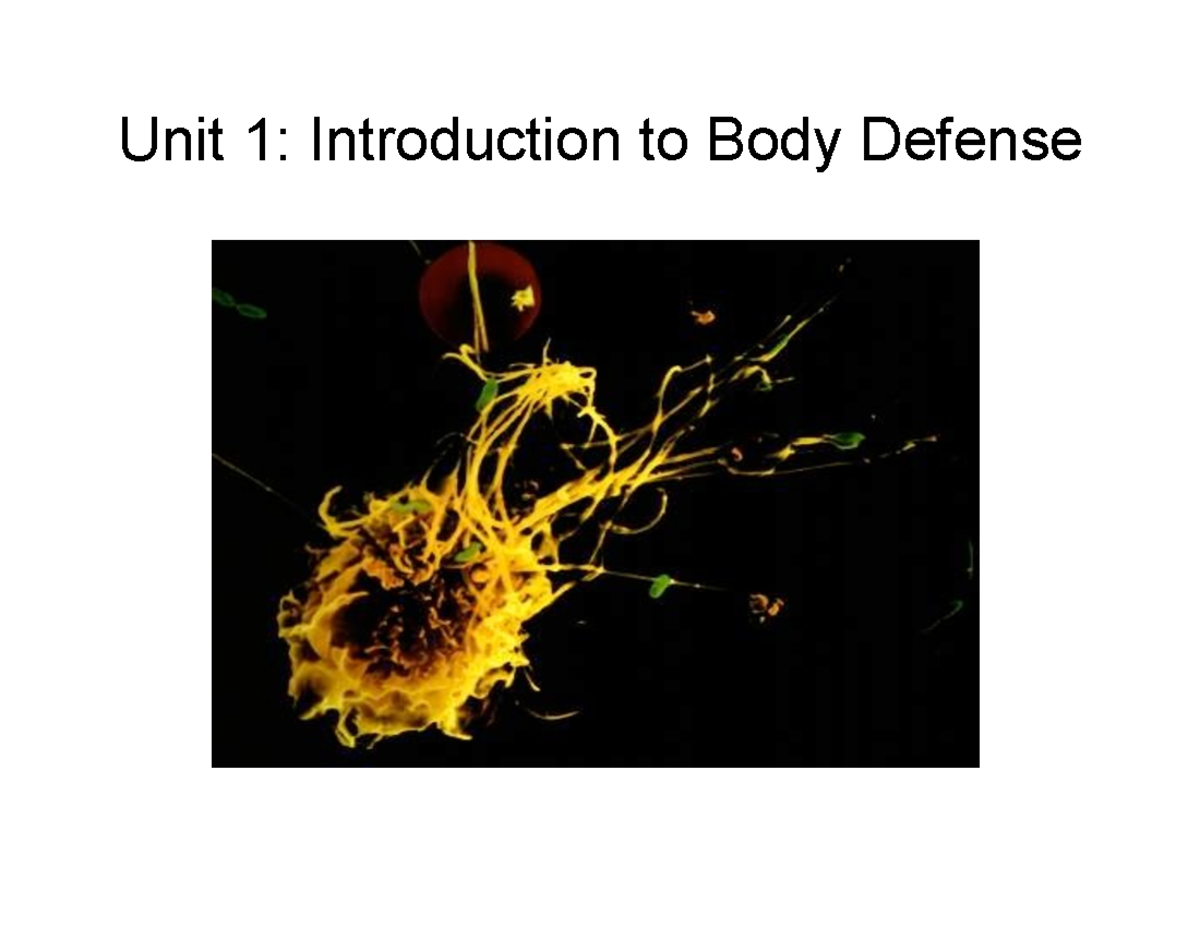 1-Body defense 2022 - Unit 1: Introduction to Body Defense Body Defense ...