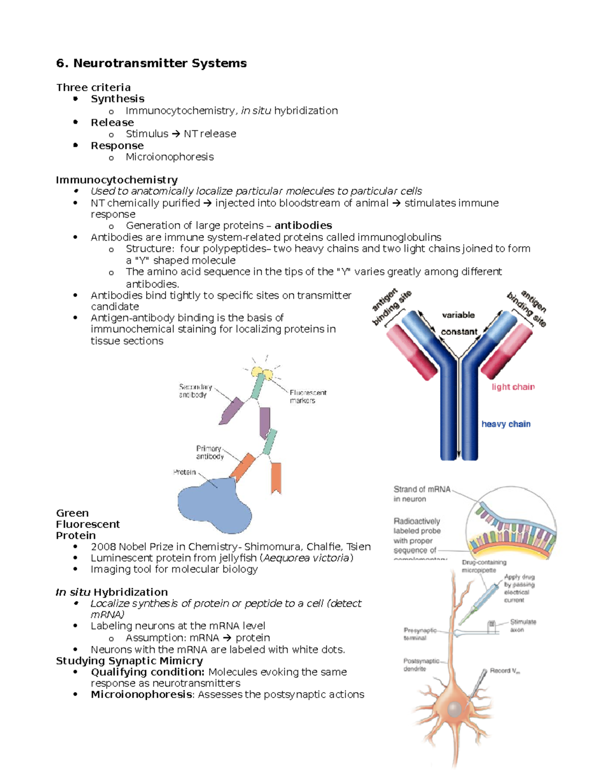 Chapter 6 - Neurotransmitter Systems - 6. Neurotransmitter Systems ...