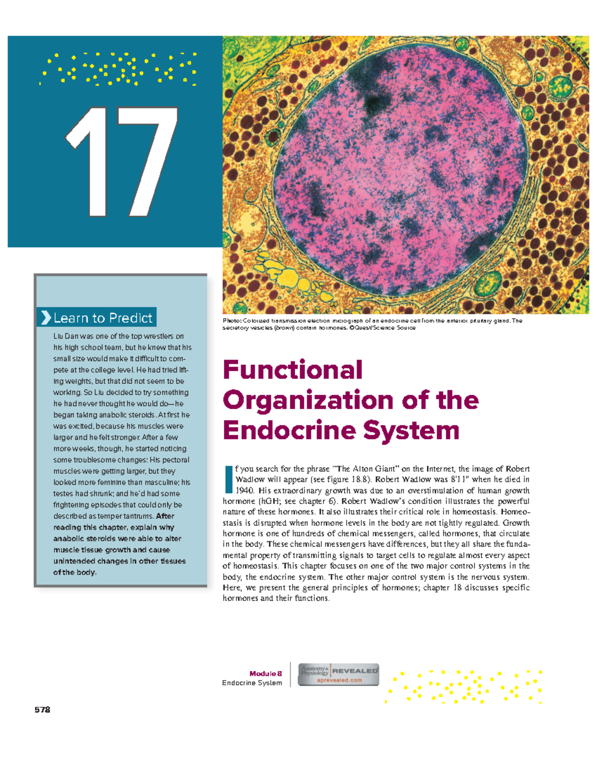Endocrine - ... - 578 17 Photo: Colorized transmission electron ...