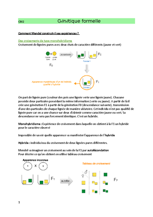 Génétique formelle (cours 1) - Génétique Formelle Cours 1 Le genome est ...