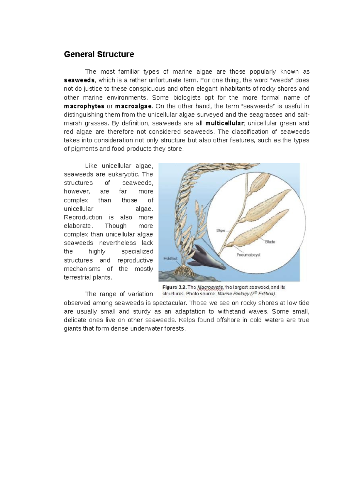 General Structure - General Structure The most familiar types of marine ...