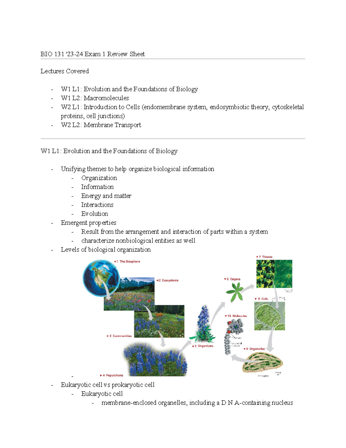 BIO 131 '23-24 Exam 1 Review Sheet - Studocu