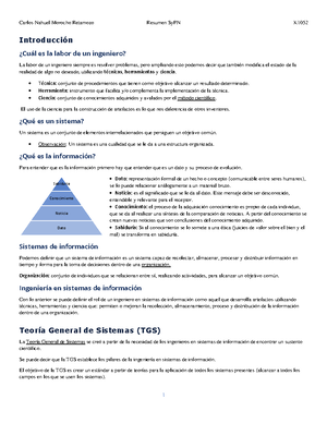 Resumen 2do Parcial SYP - RESUMEN SISTEMAS Y ORGANIZACIONES 2DO PARCIAL CIRCUITOS ...