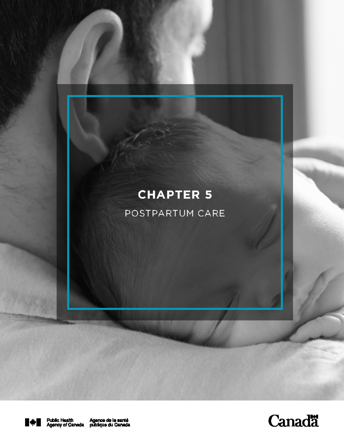 Maternity guidelines chapter 5 en 2 - CHAPTER 5 POSTPARTUM CARE TO ...