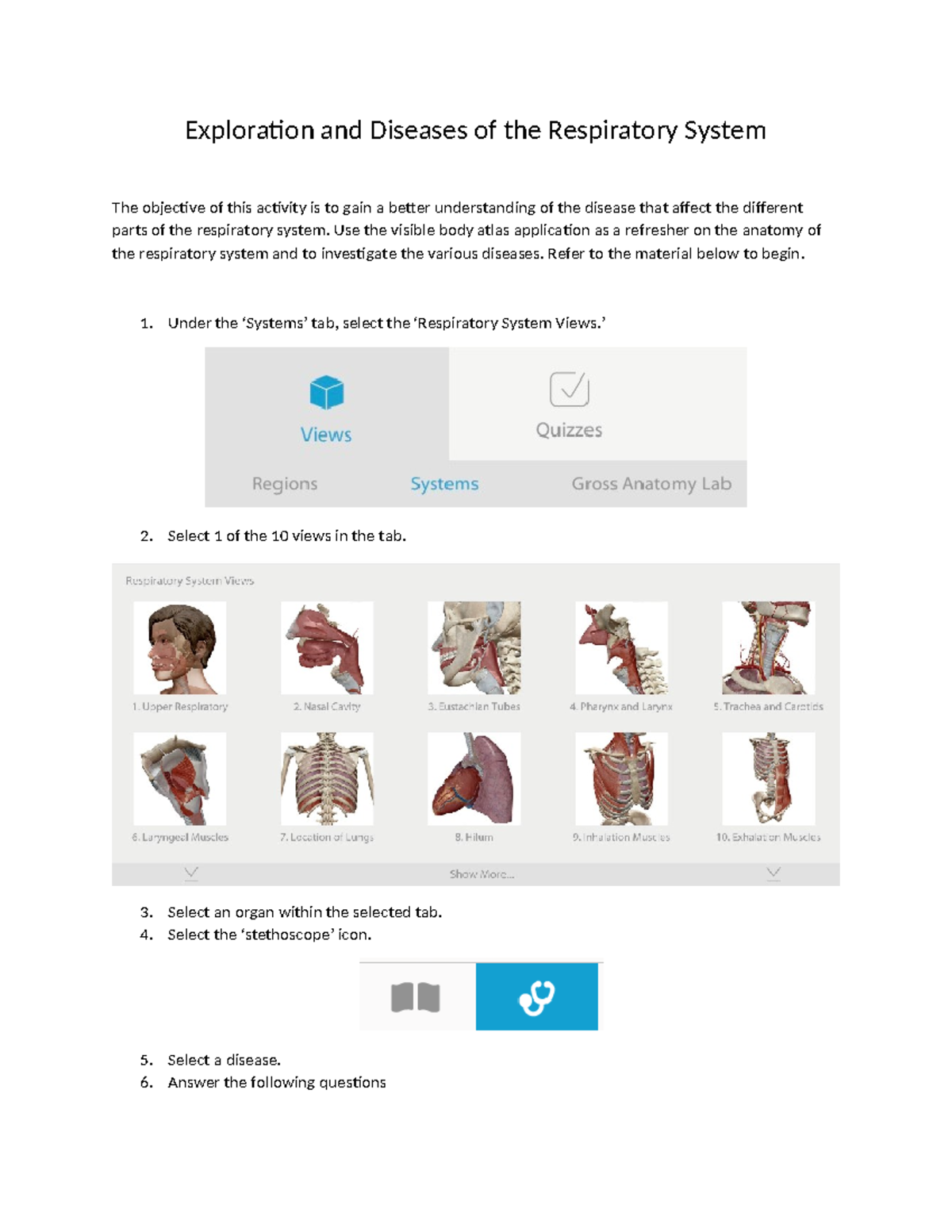 Exploration and Diseases of the Respiratory System - Use the visible ...