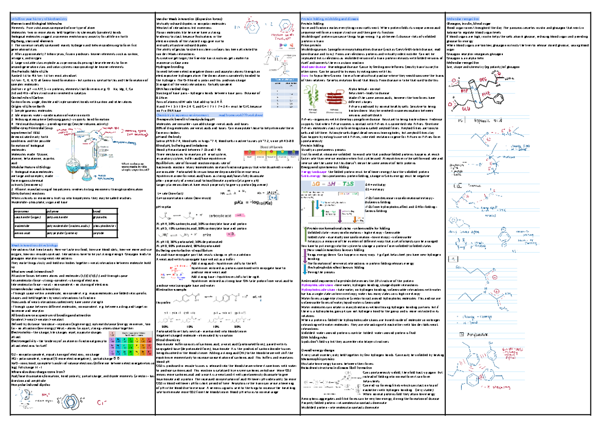 106 midsem cheat sheet - Summary Foundations of Biochemistry - 14 billion year history of - Studocu