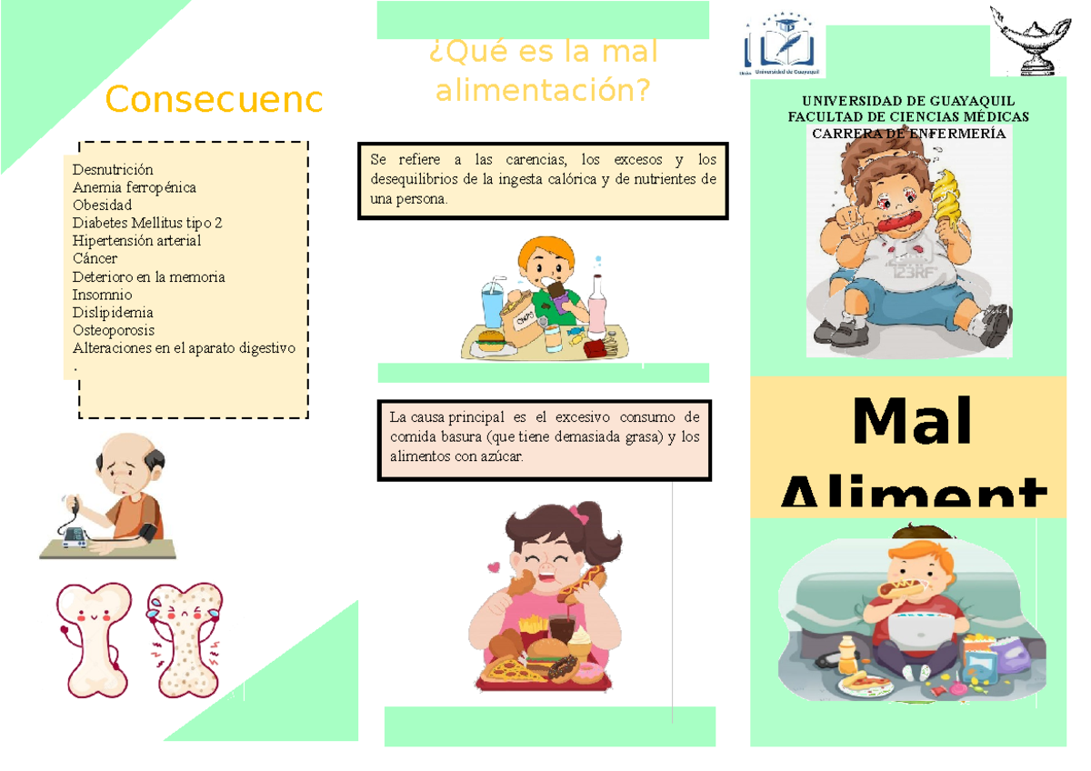 Triptico De Mal Alimentación Desnutrición Anemia Ferropénica Obesidad