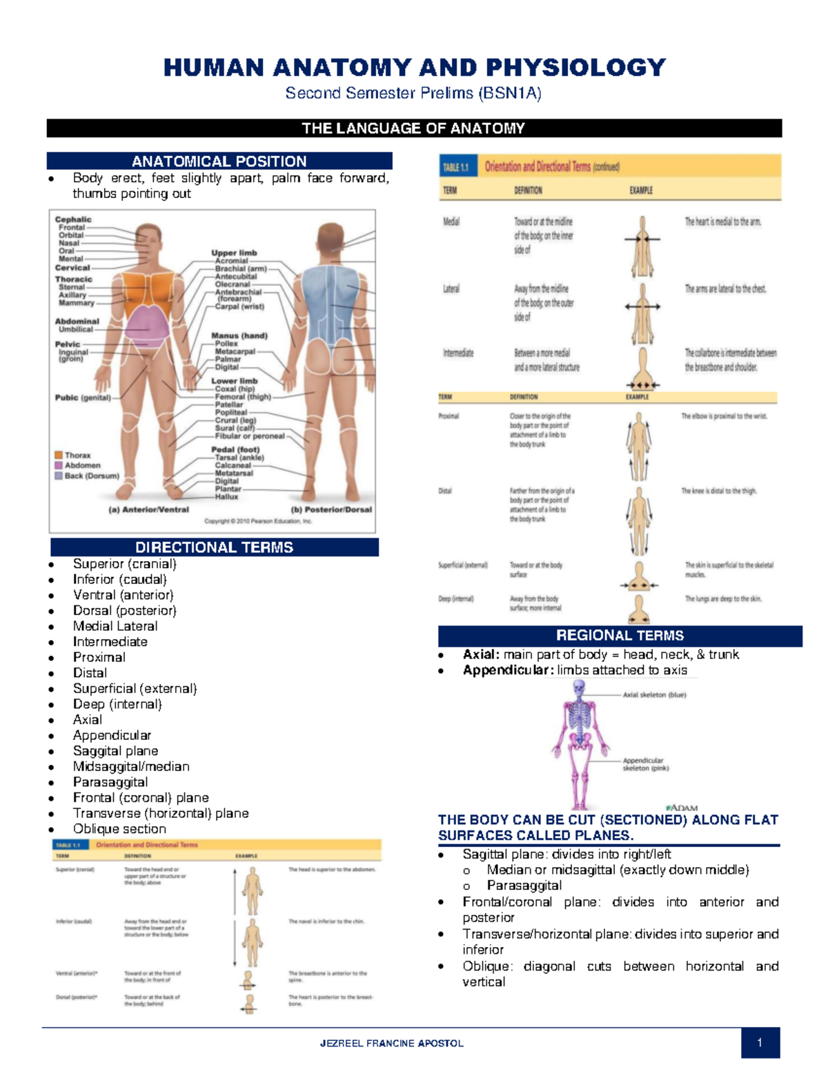 Lesson-1-Anaphy - Human Anatomy and Physiology - HUMAN ANATOMY AND ...