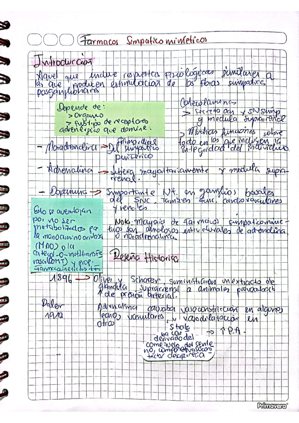 Simpaticomimeticos - FARMACOLOGIA - Farmacos Simpatico mimeticos ...