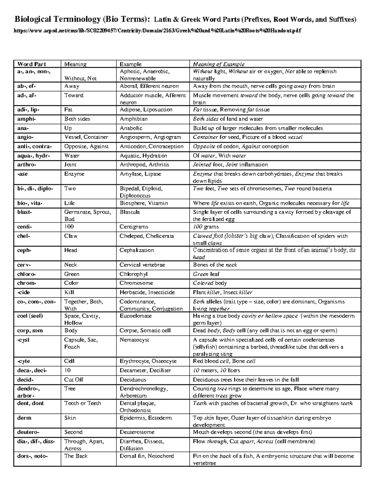 Greek and Latin Roots Handout - Biological Terminology (Bio Terms ...