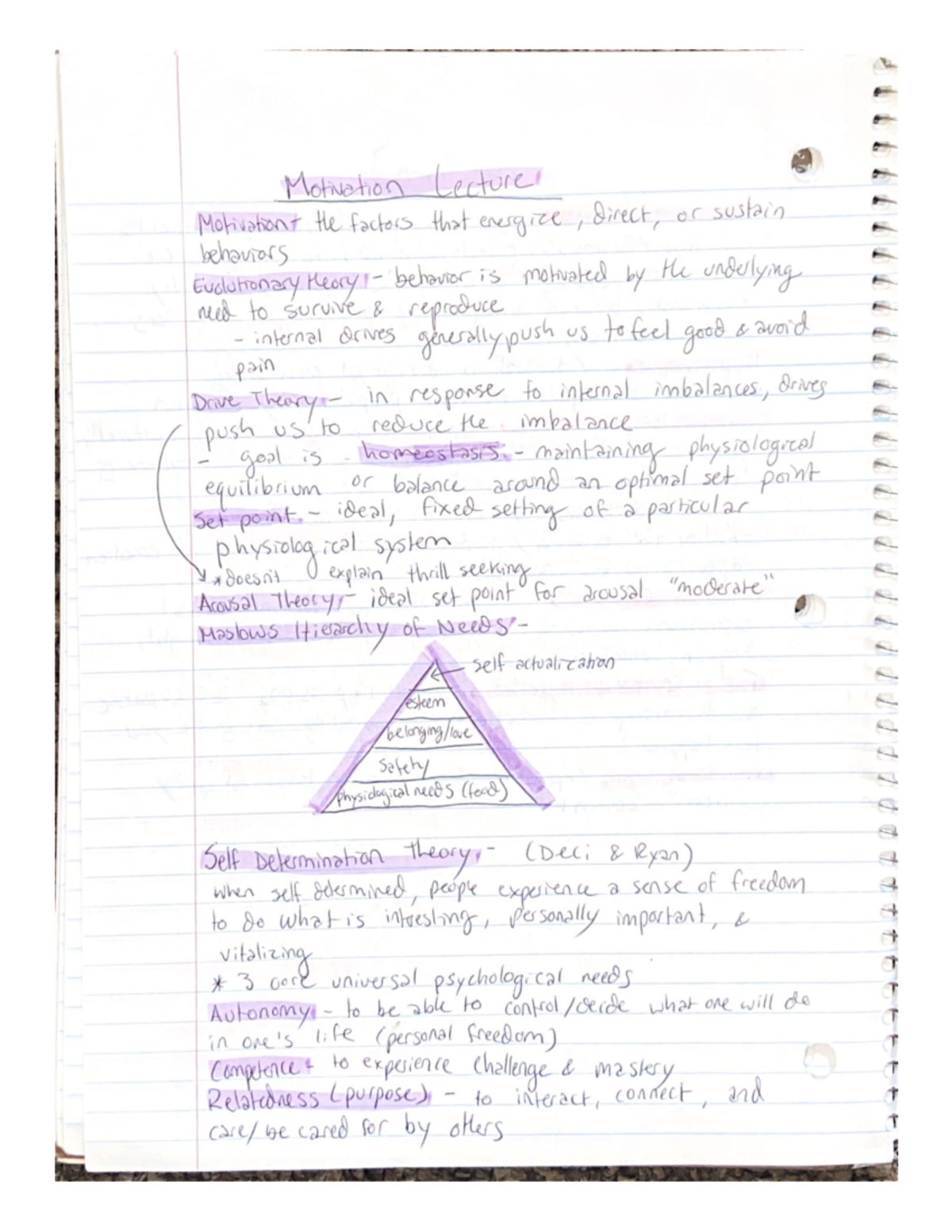 Motivation Lecture - PSYC 10300 - Studocu
