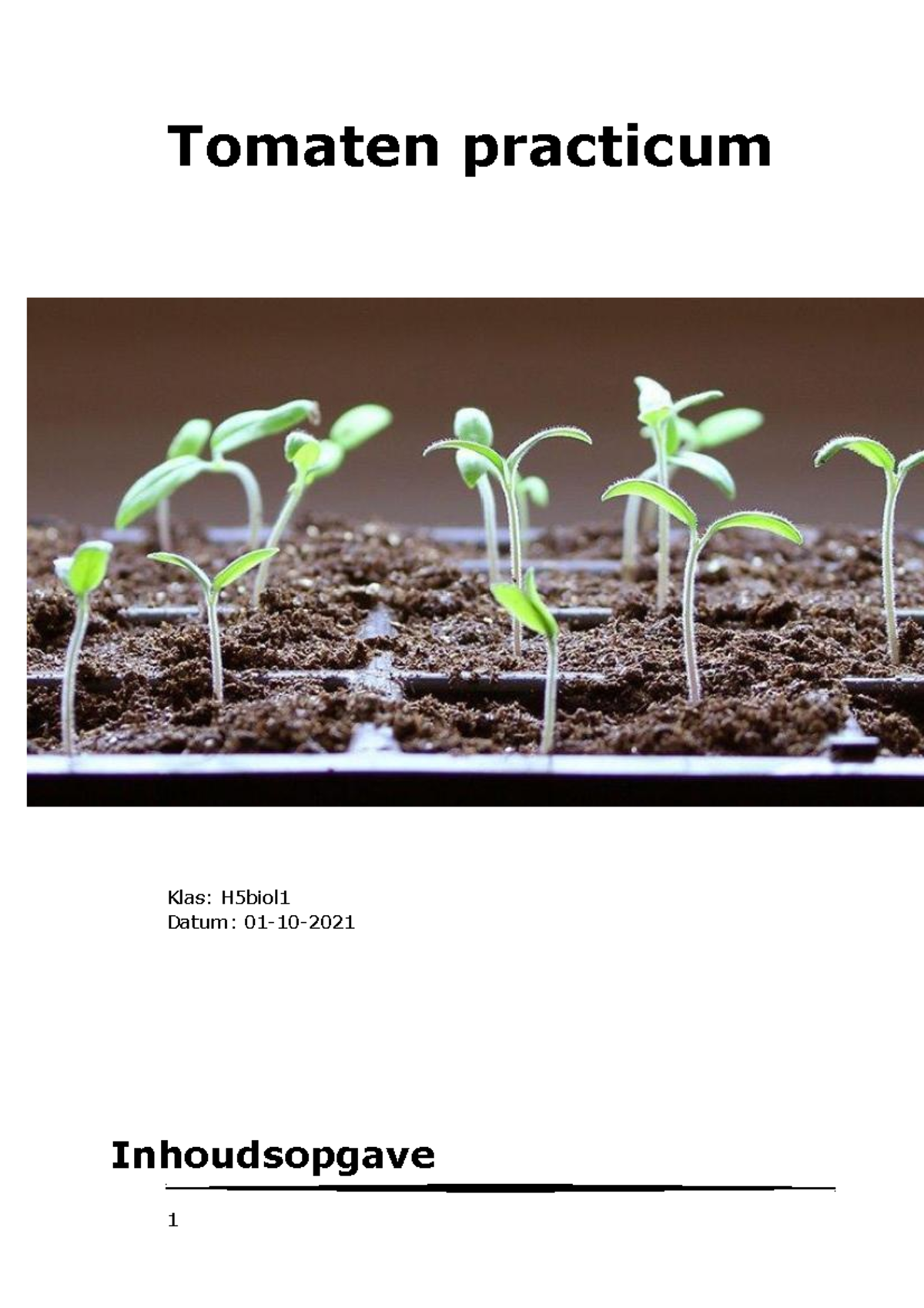 Tomaten verslag[ 1250] - Tomaten practicum Klas: H5biol Datum: 01-10 ...