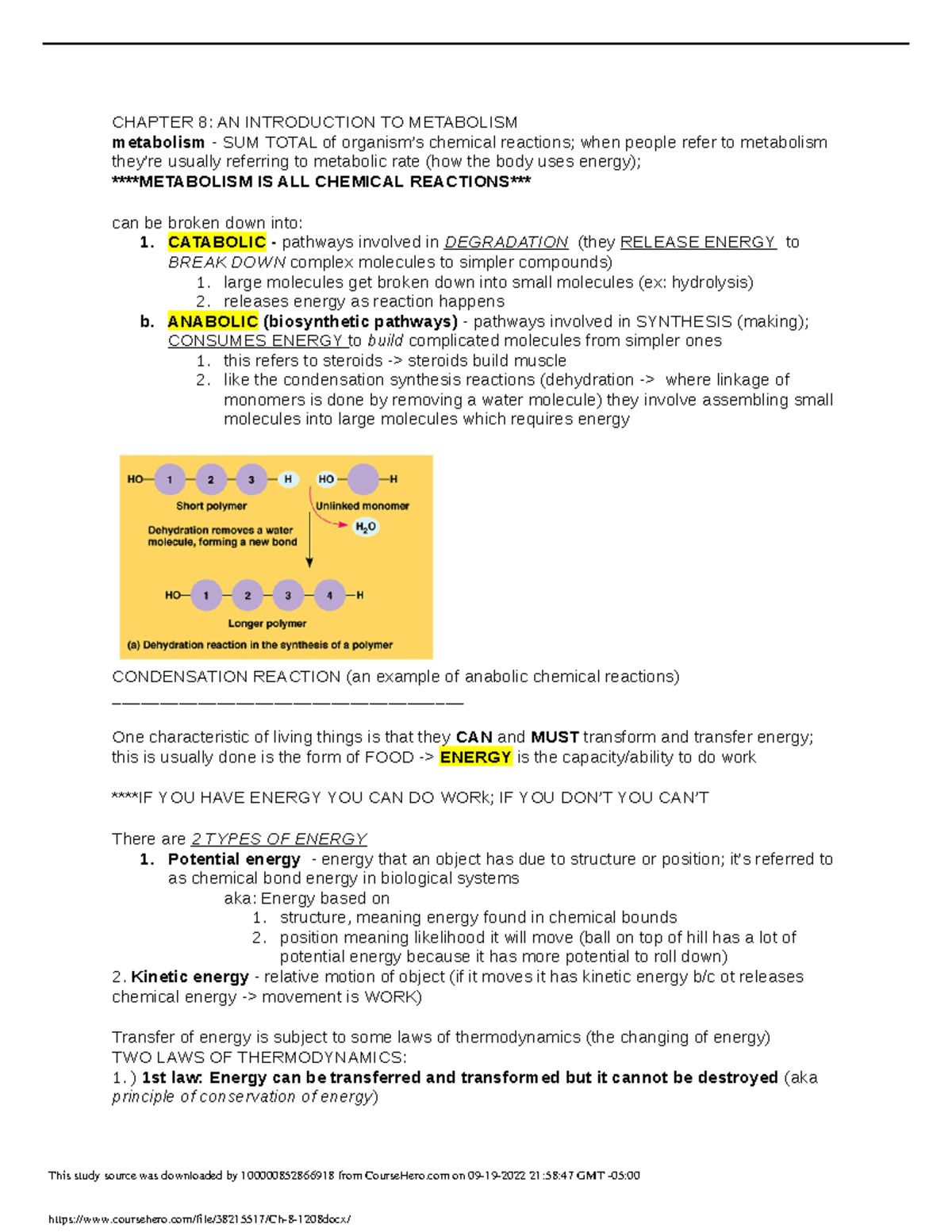 Quia Ap Chapter 8 An Introduction To Metabolism Detailed The Diagram ...