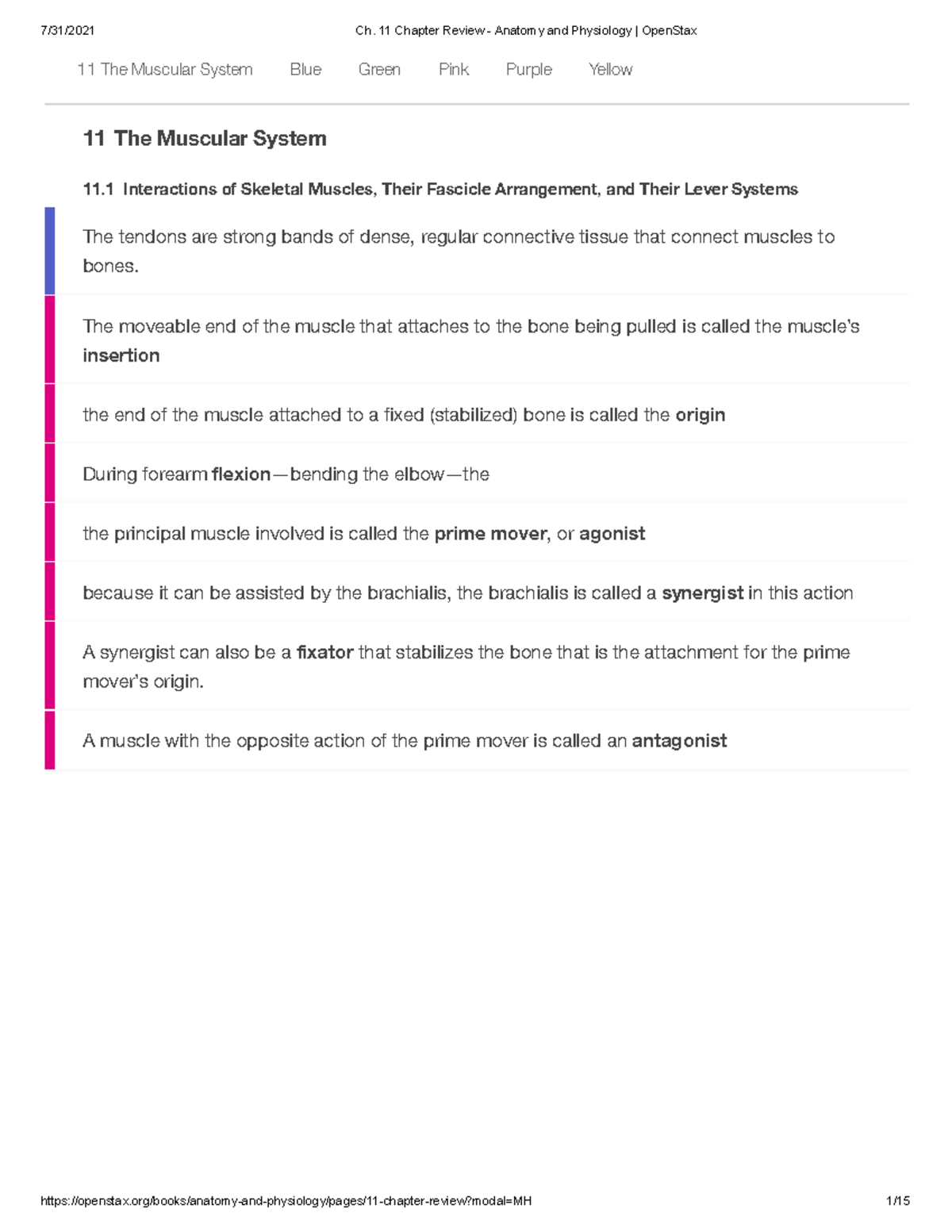 ap1 lec ch 11 muscular system - BOOK NOTES - 11 The Muscular System 11 ...