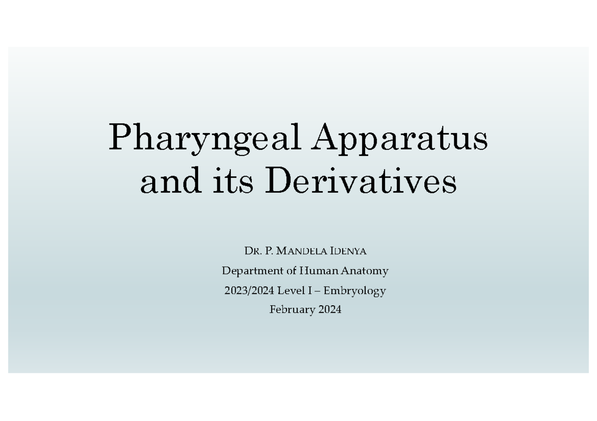 Organization of the Pharyngeal Apparatus Level 1 2024 - Pharyngeal ...