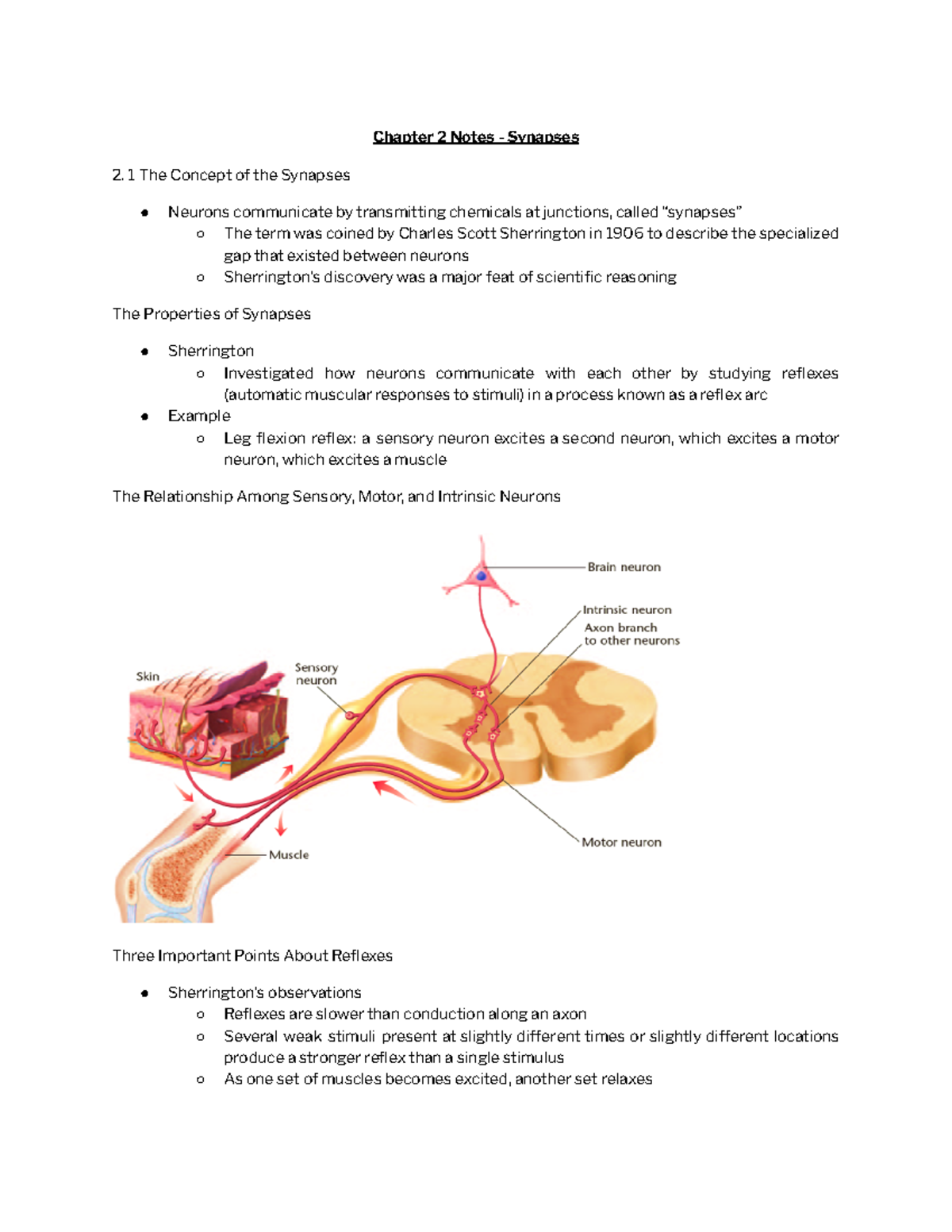 Chapter 2 Notes - Chapter 2 Notes - Synapses 1 The Concept of the ...