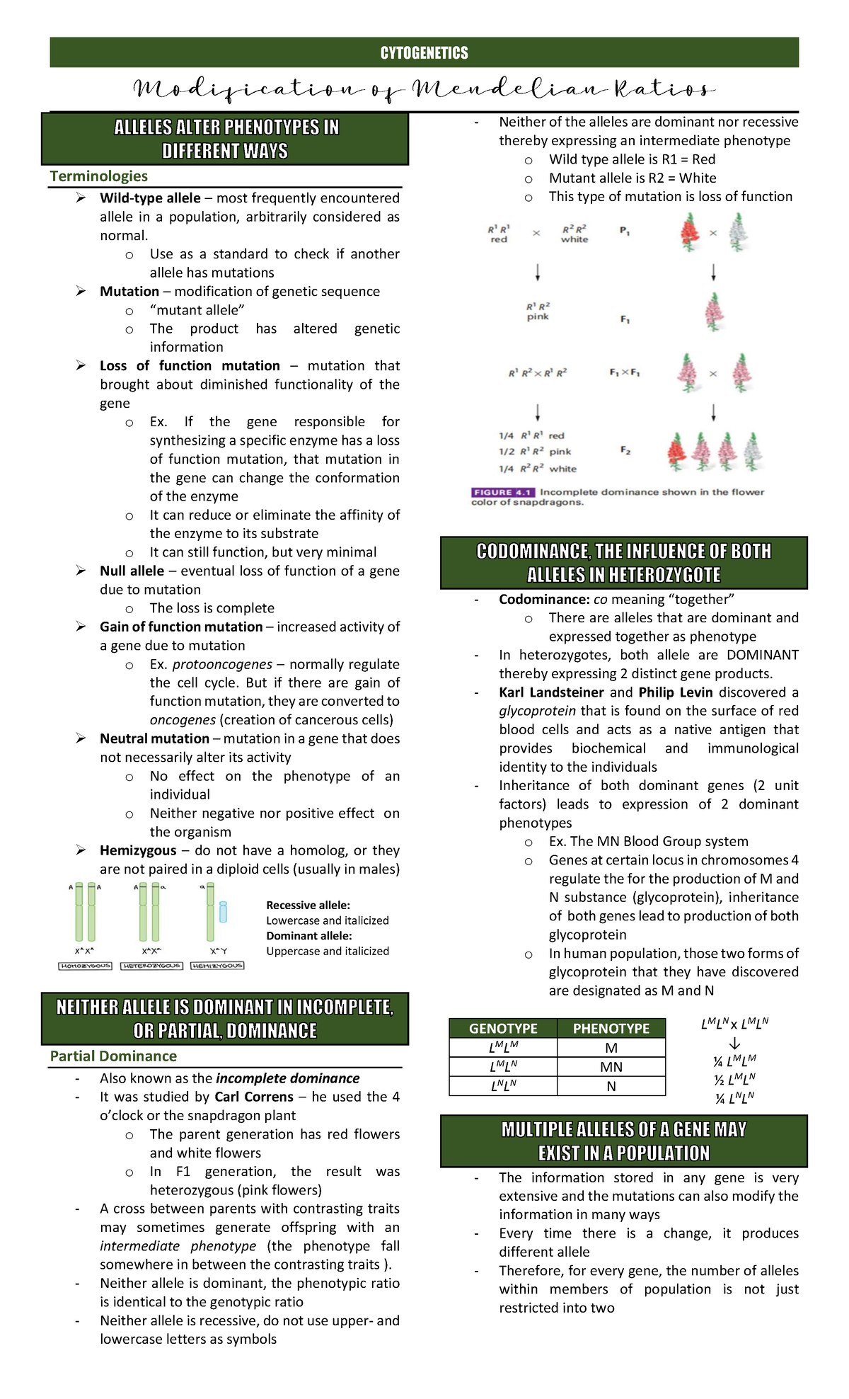 Lesson 8. Modifications of Mendelian Ratios - CYTOGENETICS ...