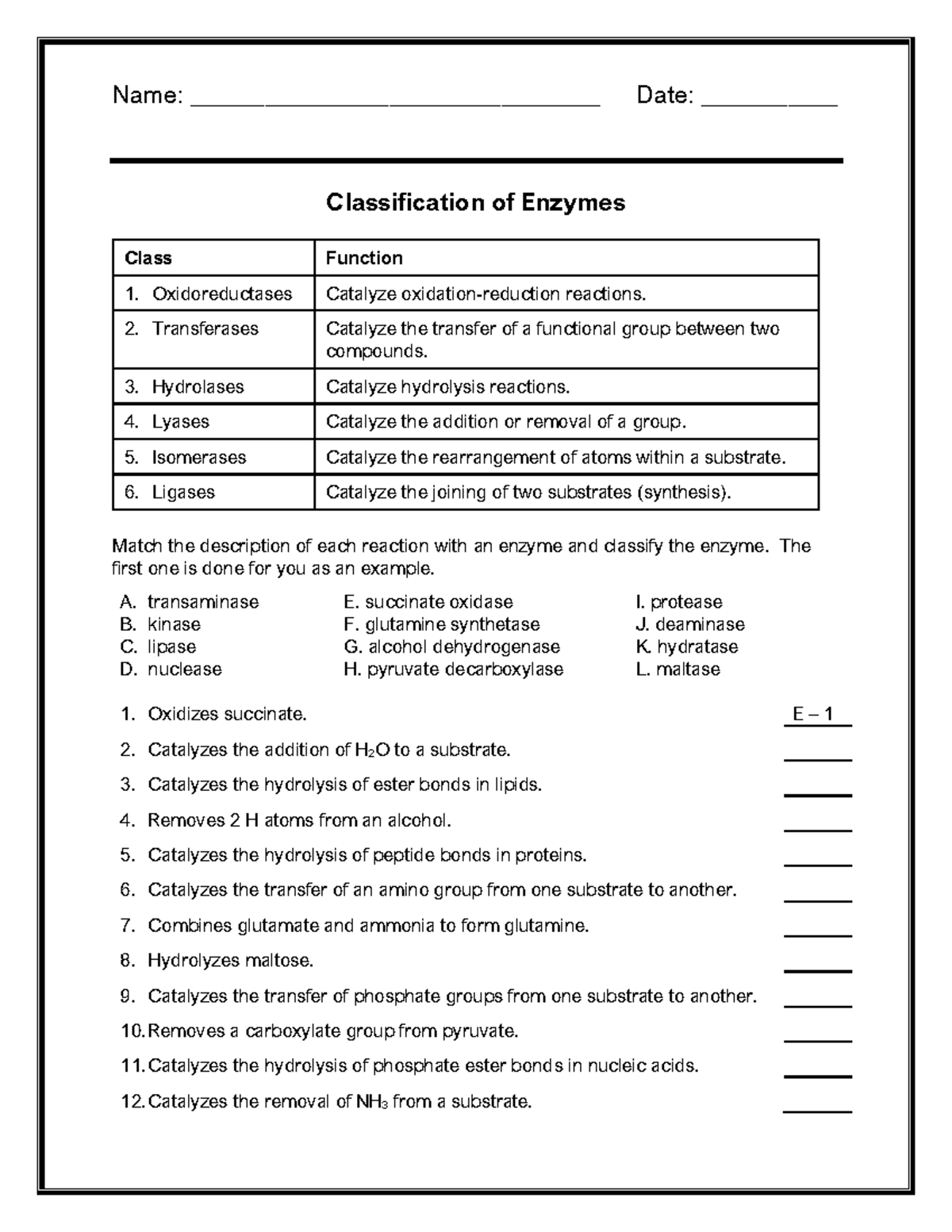 Classification of Enzymes - Name ...
