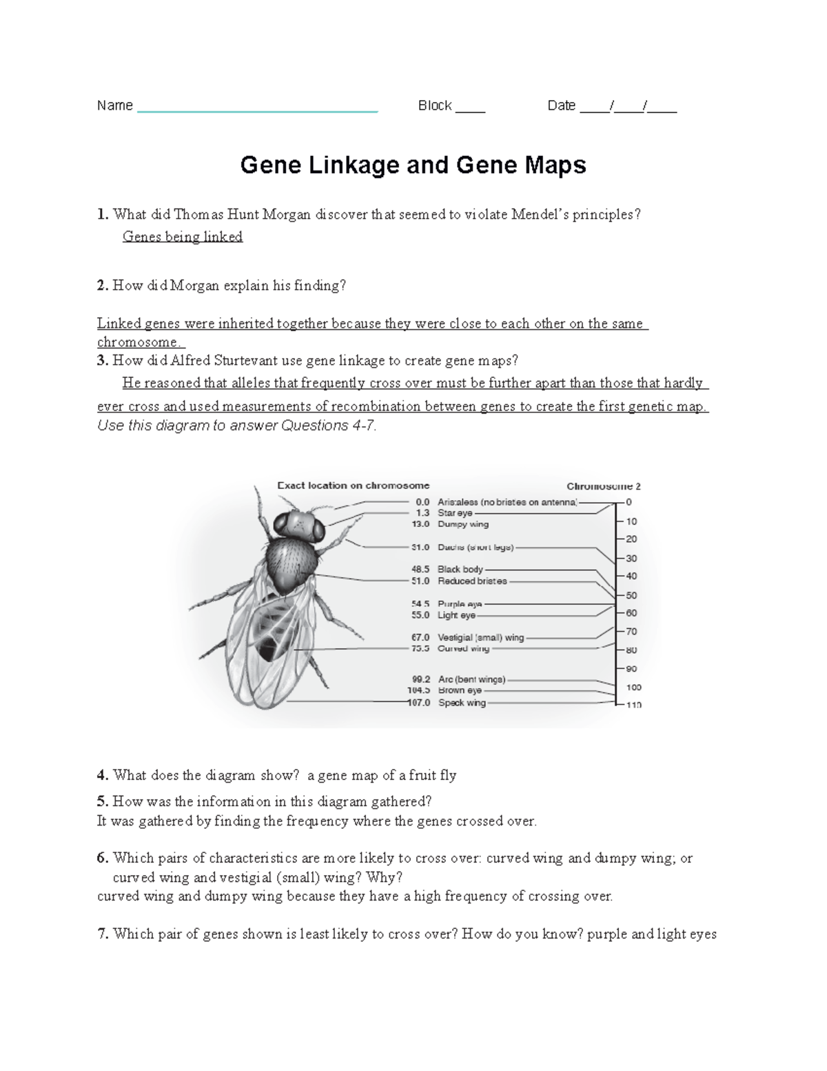 Gene Linkage - 30 points - Name ________________________________ Block ____ Date //____ Gene ...