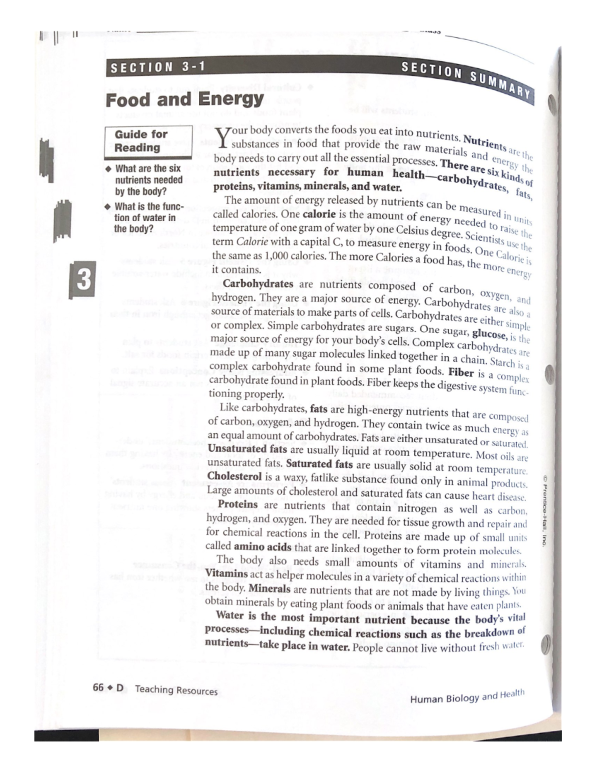 Section Review 3-1 - Studocu