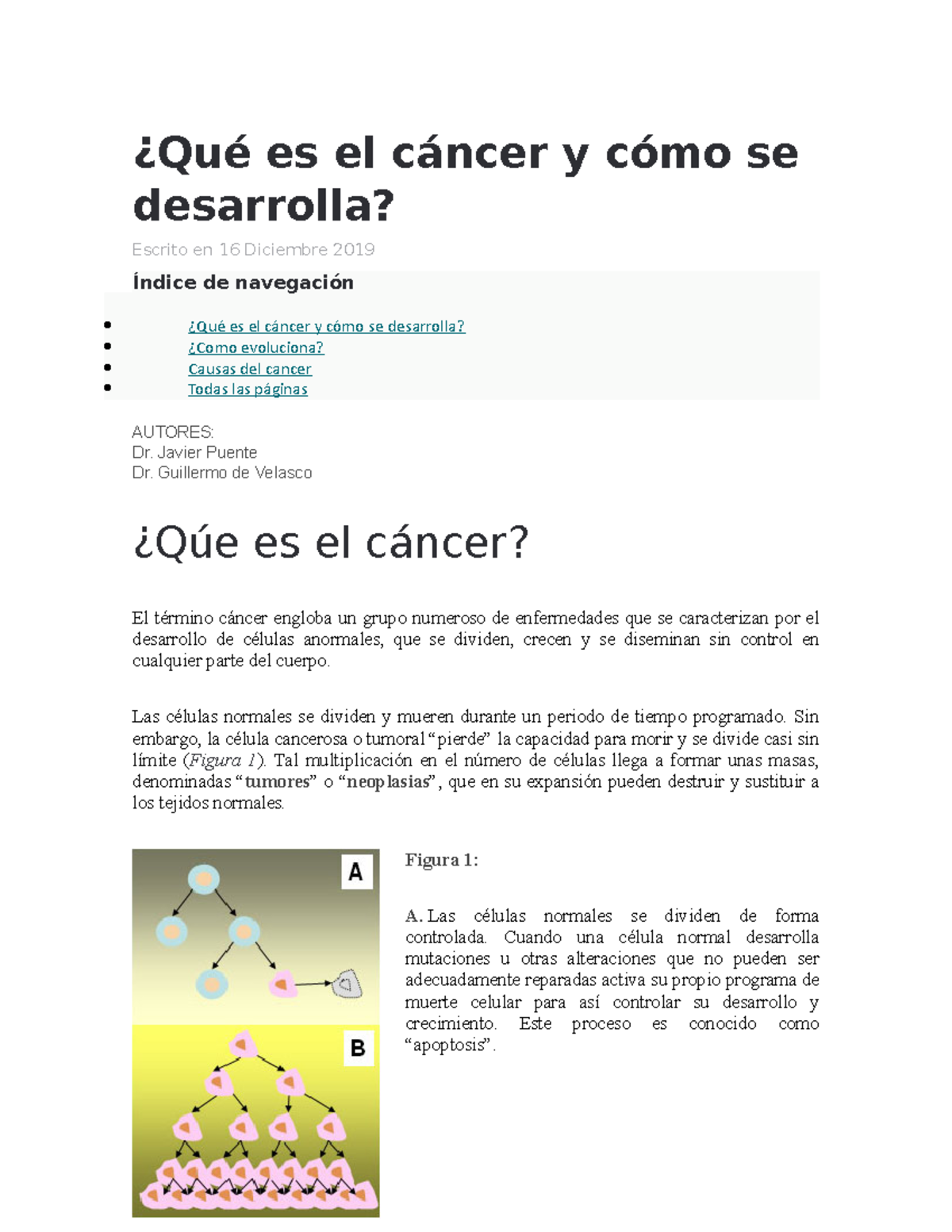 Cancer Y ALCANCES - ¿Qué es el cáncer y cómo se desarrolla? Escrito en ...