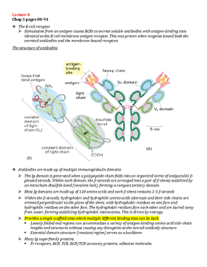 Infograma DEL Sistema DEL Complemento - Sistema del Rodney R. Porter ...