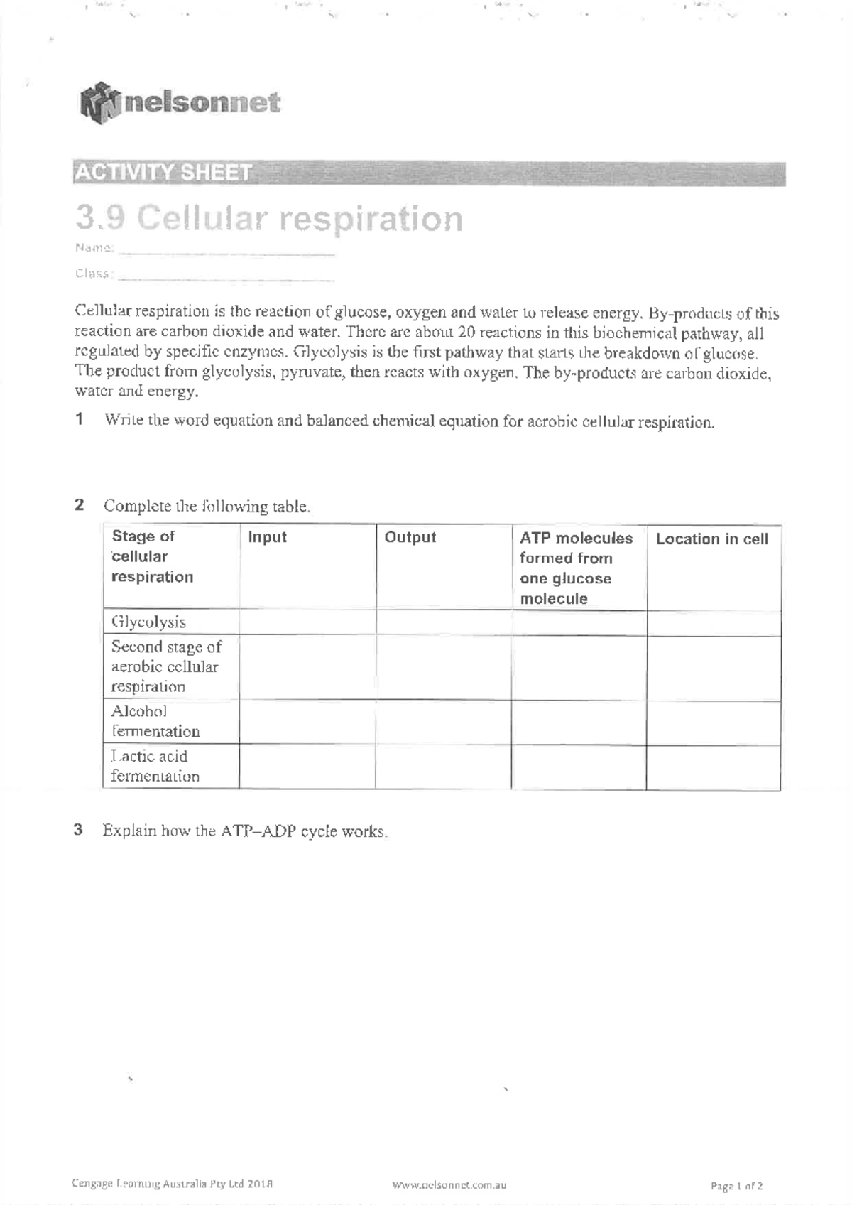 Worksheet on photosynthesis ad respiration - nelsonnet ACTIVITY SHEET 3 ...