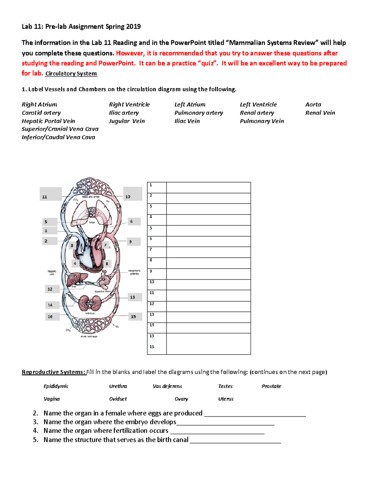 Lab 11 Pre-Lab Questions Spring 2019 - Lab 11: Pre-lab Assignment ...