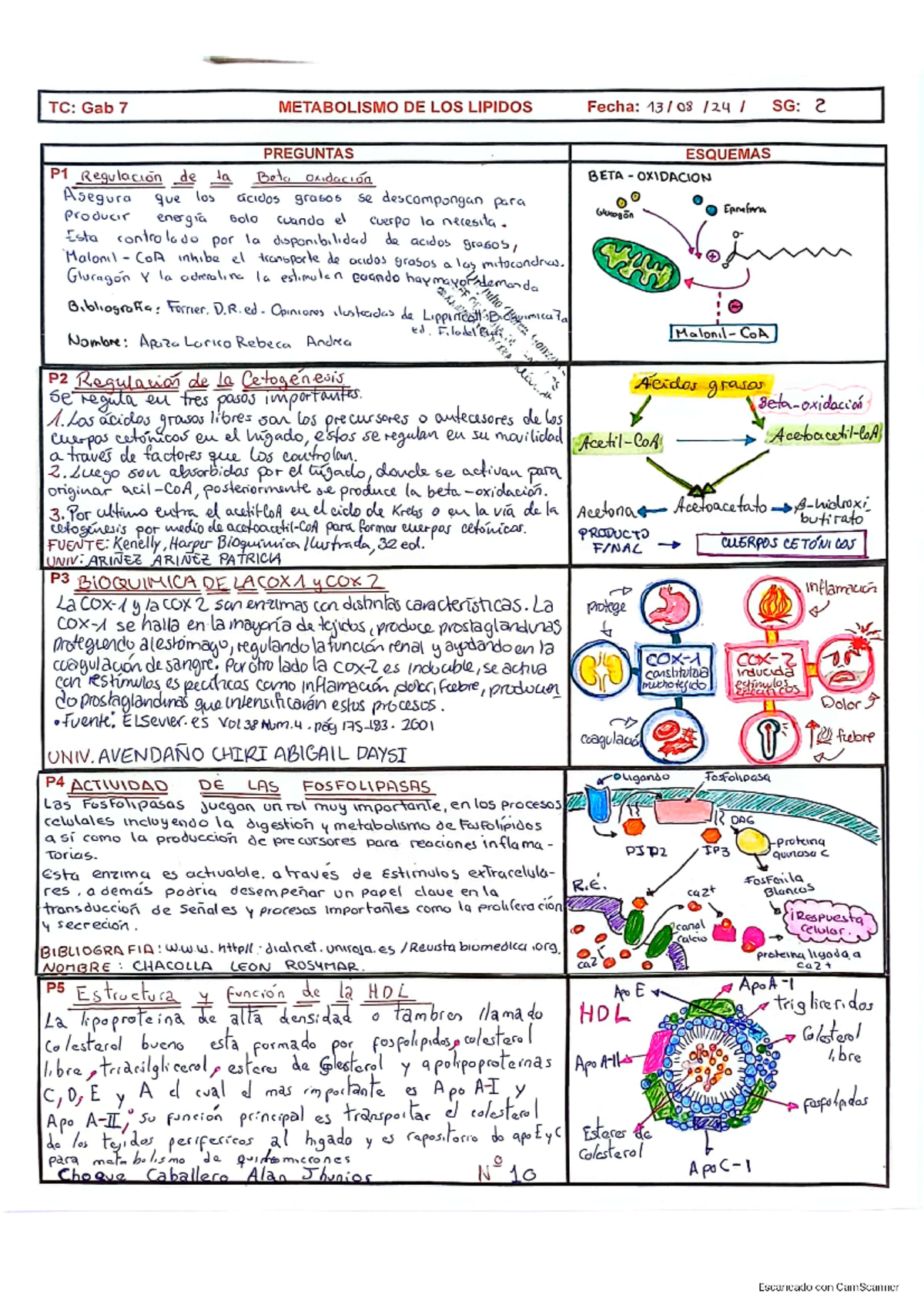 Preguntas de GAB7 Subgrupo 2 Dr. Pérez - TC: Gab 7 METABOLISMO DE LOS ...