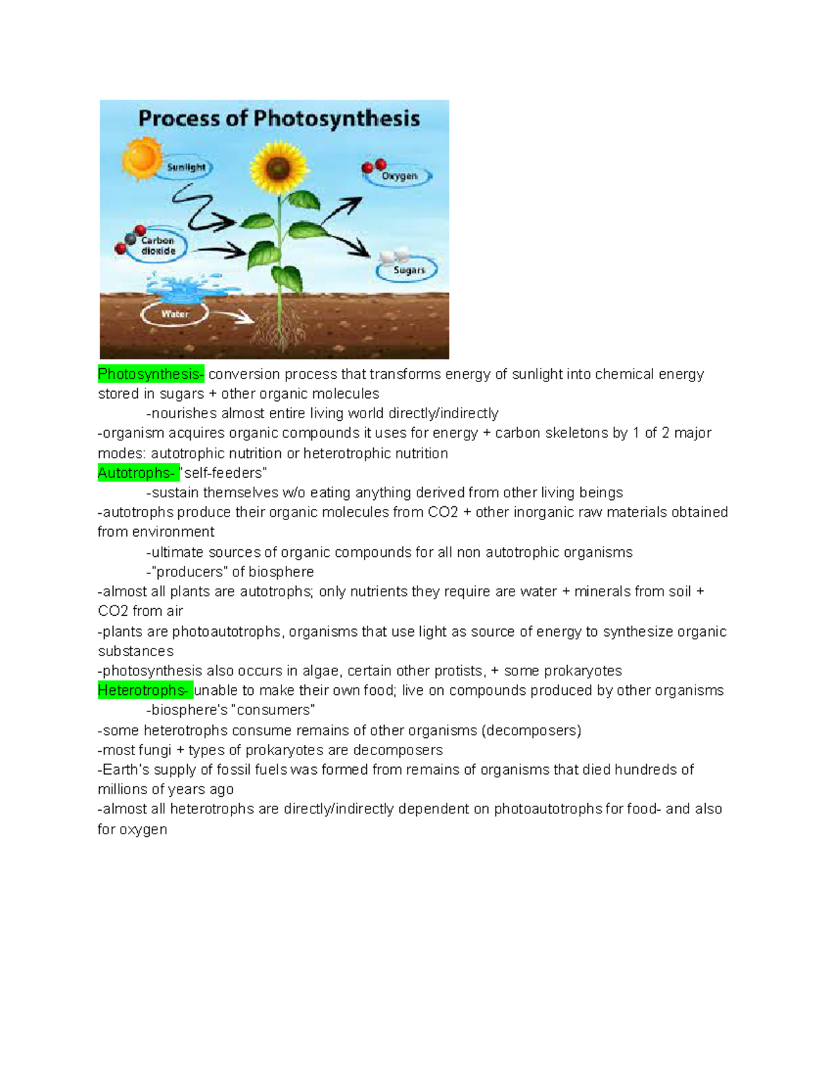 Photosynthesis feeds the biosphere - Photosynthesis- conversion process ...