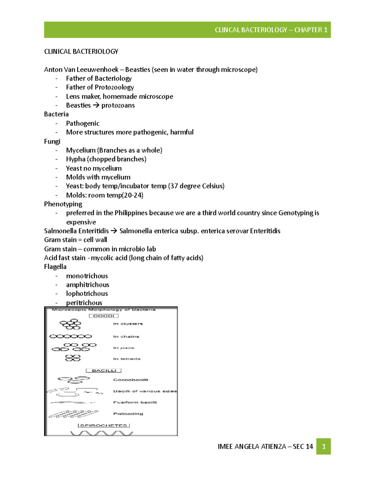 Clinical Bacteriology 08-25-21 - CLINCAL BACTERIOLOGY – CHAPTER 1 CLINICAL BACTERIOLOGY Anton ...