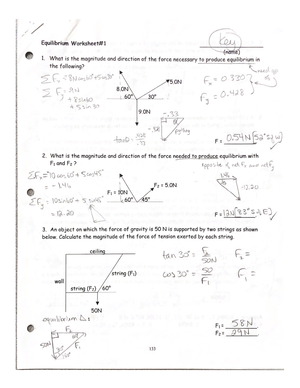 W - Michelle Chemical Equilibrium WS and KEY - CHEMICAL EQUILIBRIUM ...