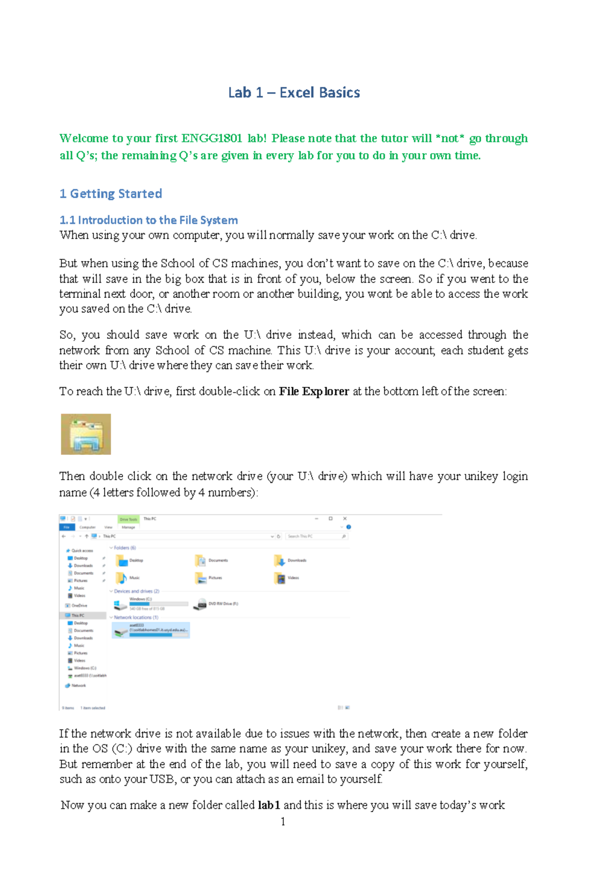 Lab1 - Lab 1 – Excel Basics Welcome to your first ENGG1801 lab! Please ...