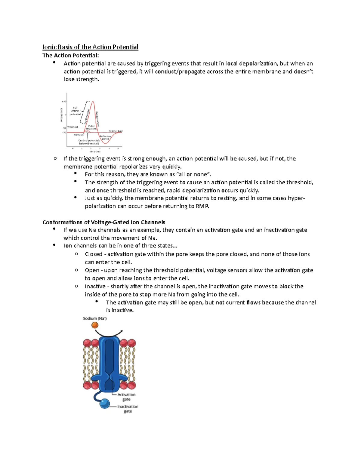 PHGY215 Ionic Basis of the Action Potential - Ionic Basis of the Action ...