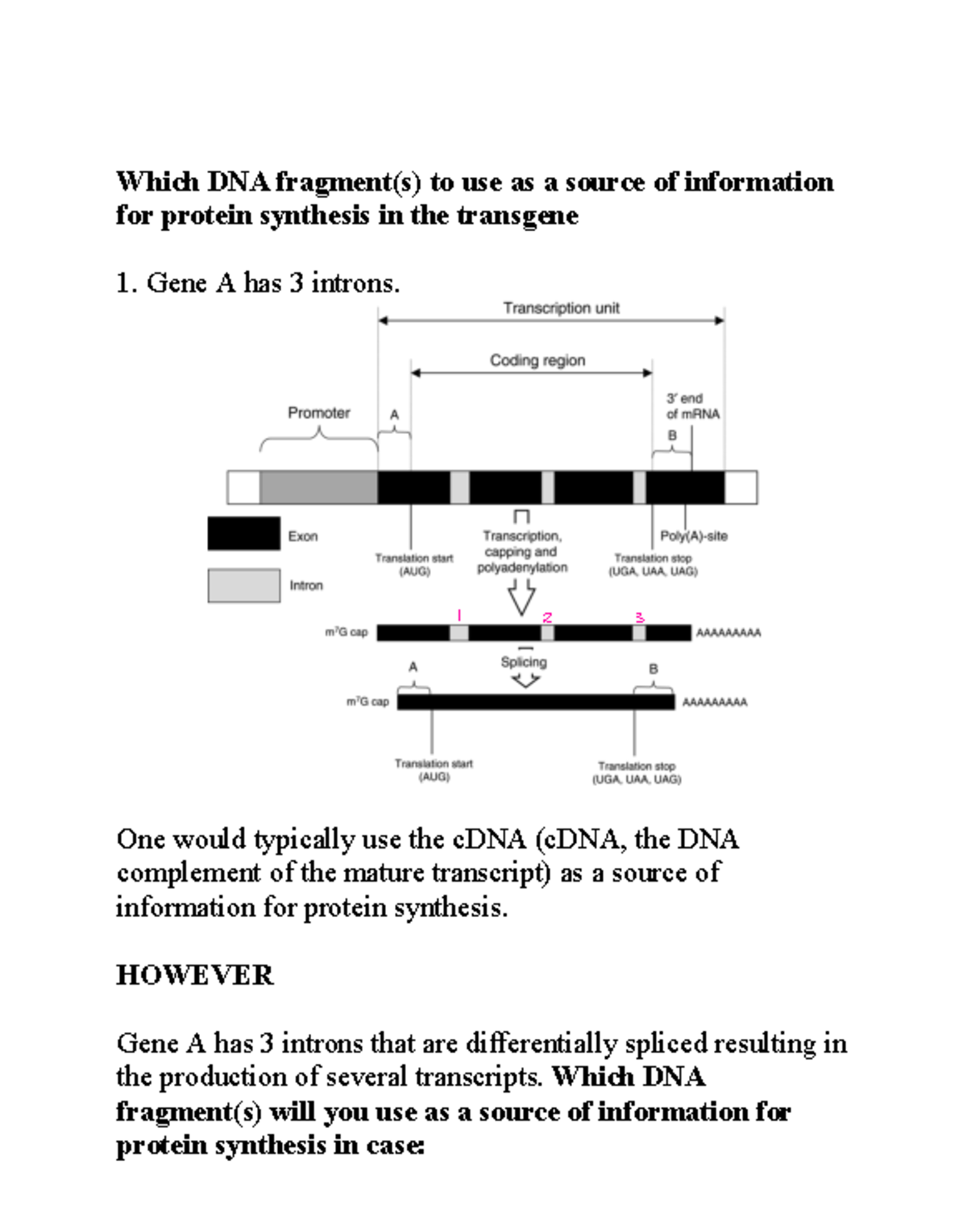 Alternative splicing and a transgene - Biology 3593B - Which DNA ...
