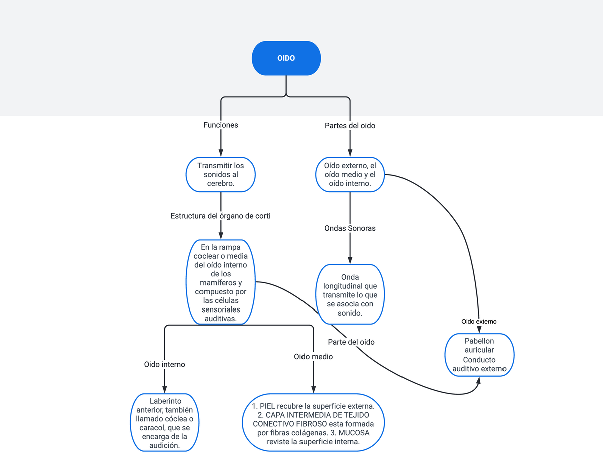 Mapa oido - Mapa del odio - OIDO Oídoexterno,el oído medioyel oído ...