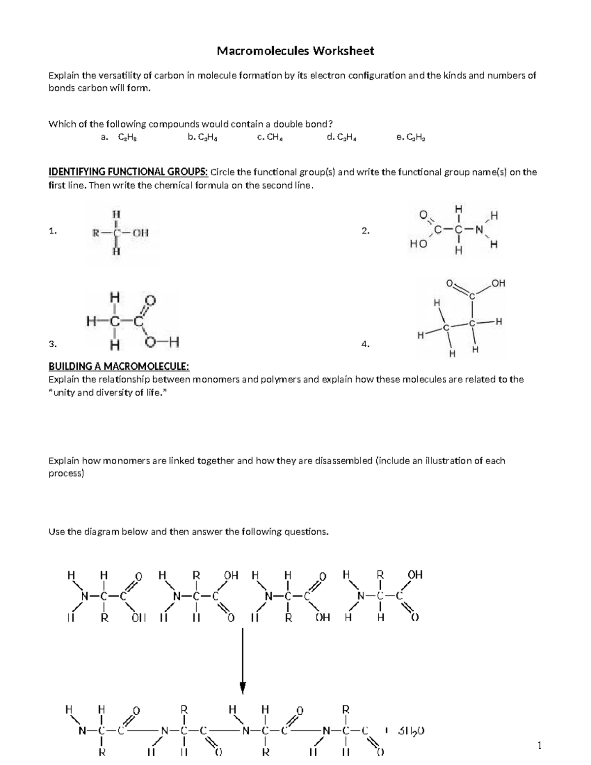 Macromolecules Worksheet - Macromolecules Worksheet Explain the ...
