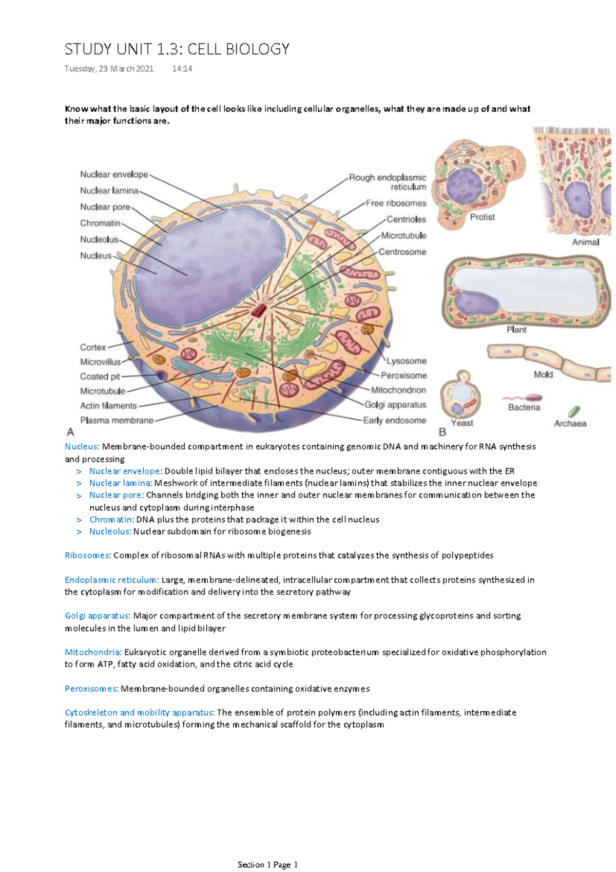Study UNIT 1.3 CELL Biology FLG 211 chapter summaries. Detail summaries ...