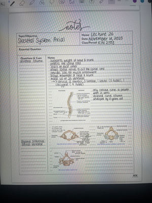 Kinesiol test 7 - kin test 7 notes - 20: Special Senses: Olfaction and ...