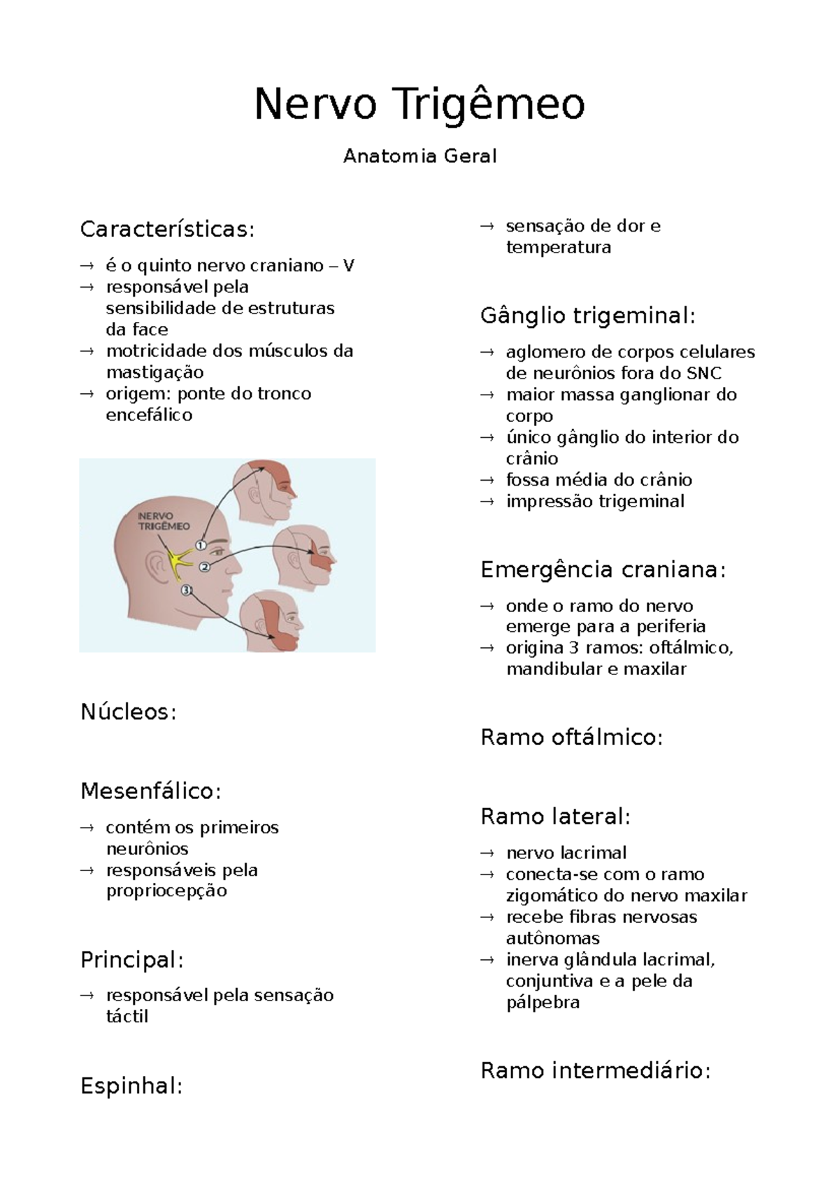 Nervo Trigêmeo - Nervo Trigêmeo Anatomia Geral Características: é o ...