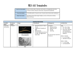 MLS 441 Virology Chart - Virology Terms: Virions Virus particles Capsid ...