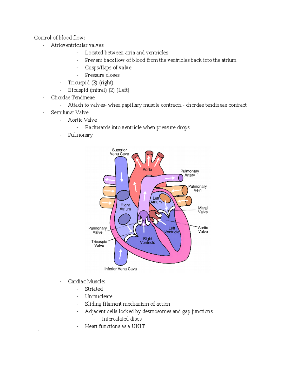Heart Phys - Dr John Cummings - Control of blood flow ...