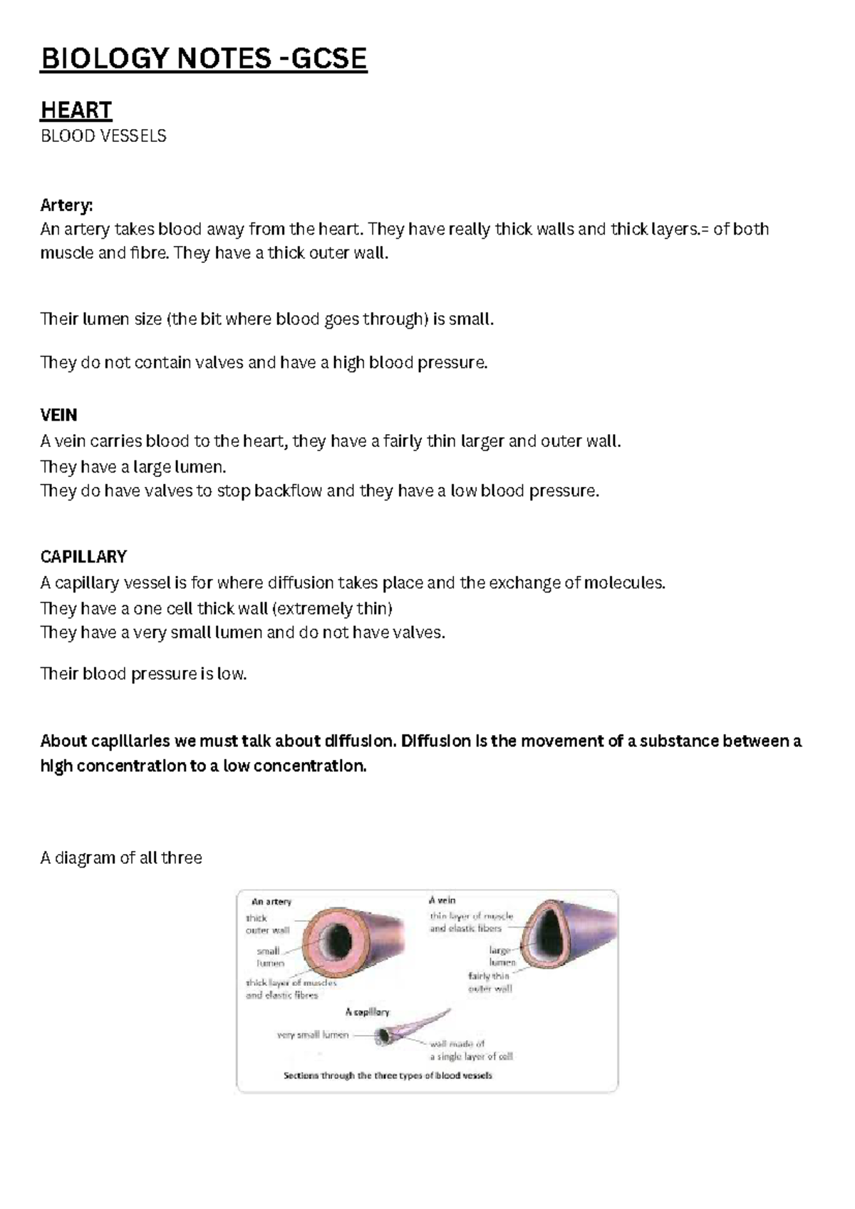 Heart - random words to thing - BIOLOGY NOTES -GCSE HEART BLOOD VESSELS ...