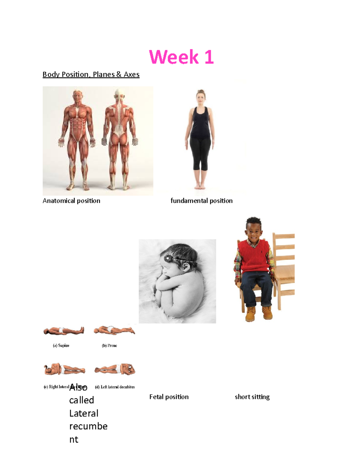 Week 1 - Lecture notes 1 - Week 1 Body Position, Planes & Axes ...
