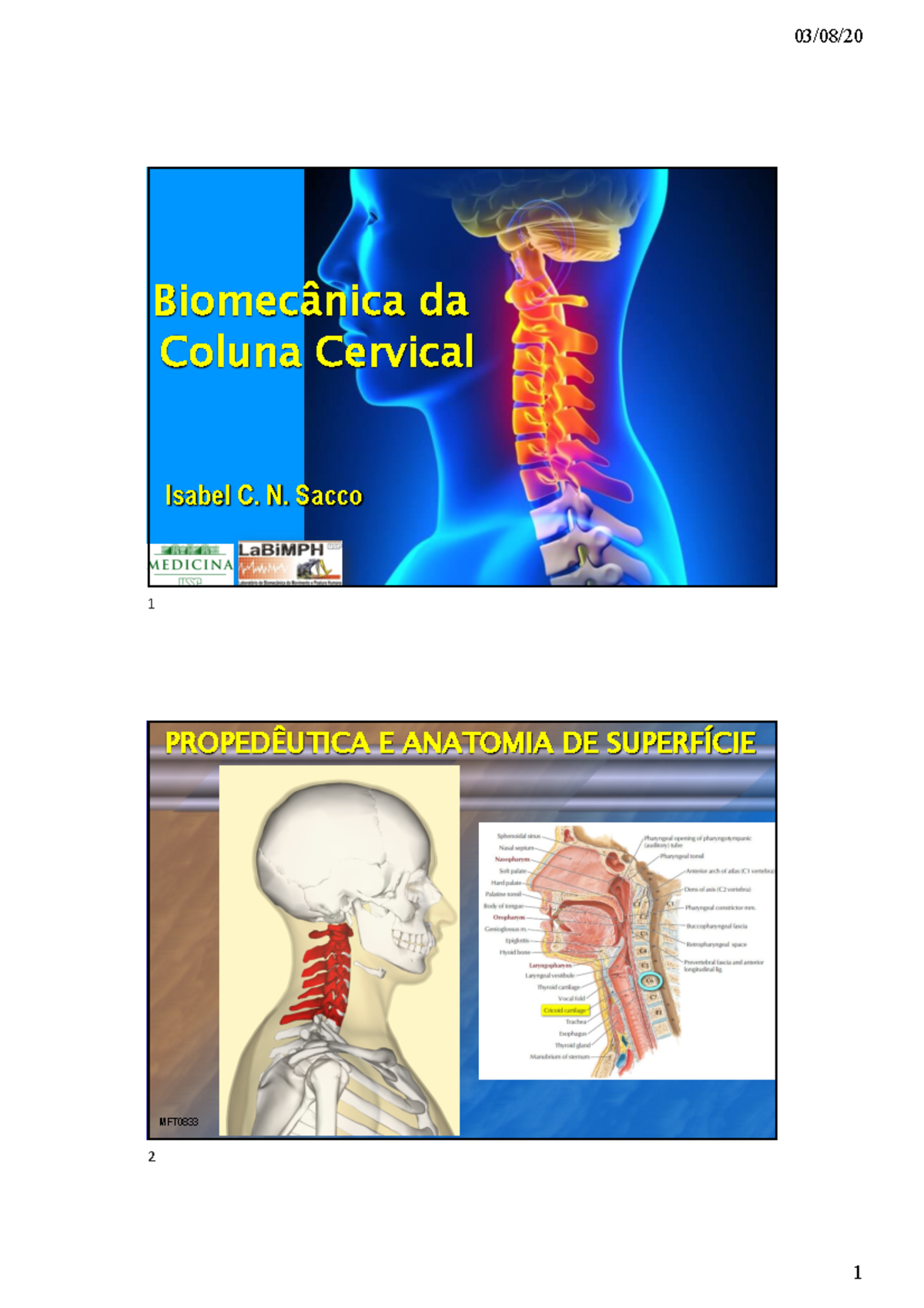 Biomecânica da Coluna Cervical 2020 PDF - Biomecânica da Coluna Cervical Isabel C. N. Sacco 1 ...