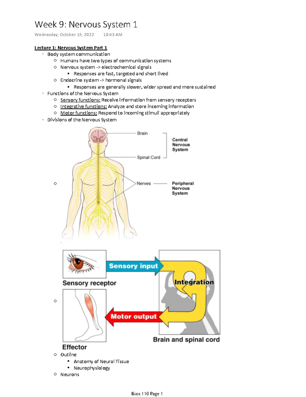 Bios 110 Week 9 pt 1 - Bios 110 Cells and Organism Notes - Lecture 1 ...