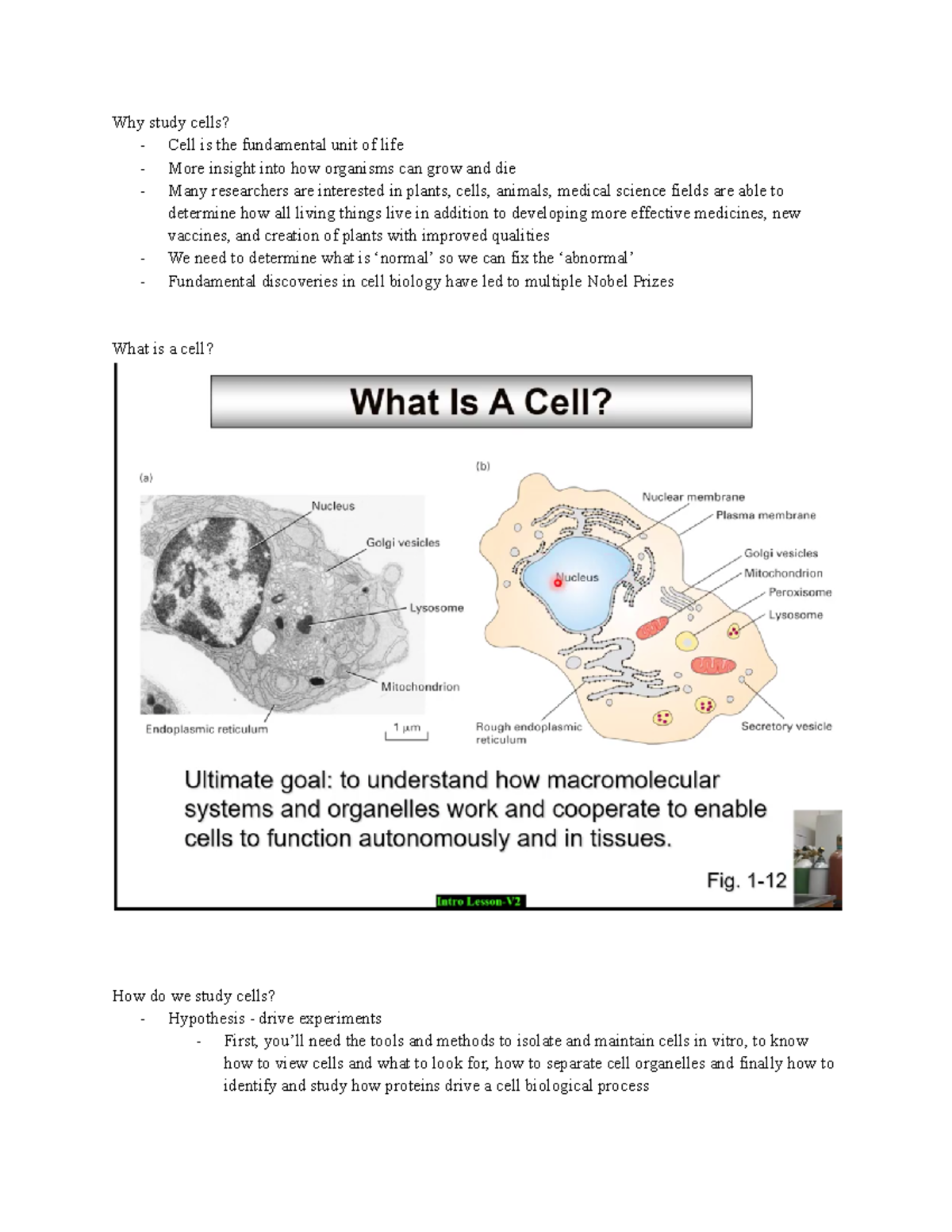 Cell biology Lesson 1 Introduction to Cell Culture and Cell types - Why ...