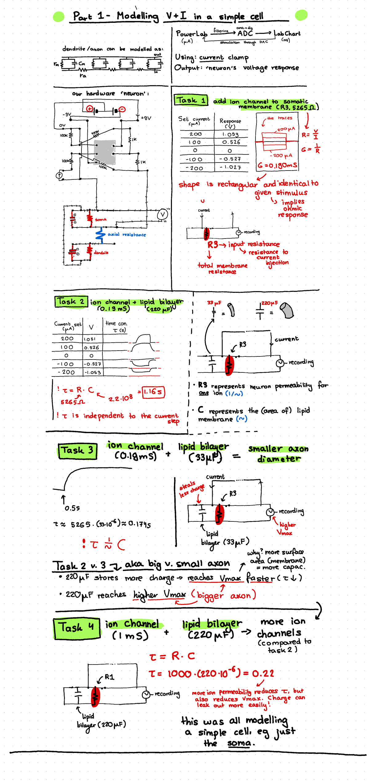 Practical 1 - notes - NEUR2006 - Studocu
