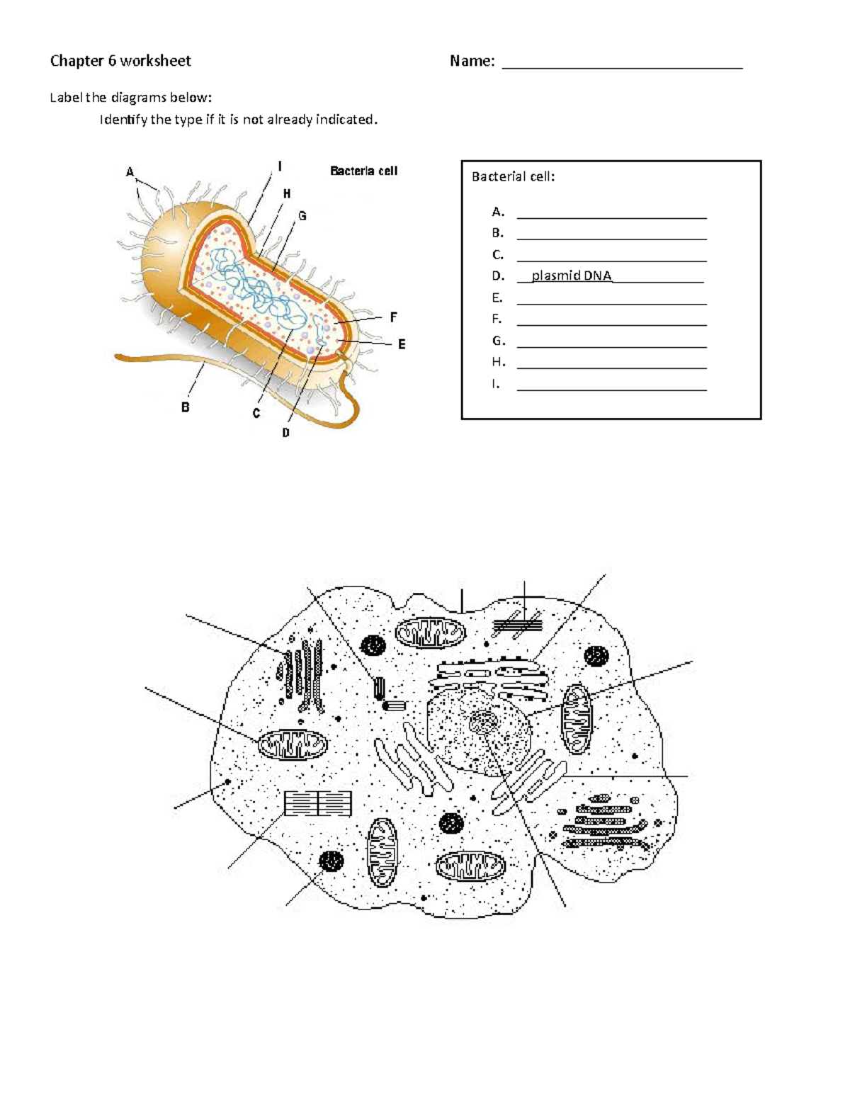 Chapter 6 worksheet - Chapter 6 worksheet Name ...