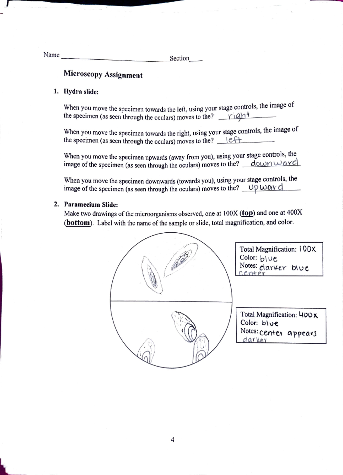 Lab 1 pages 4-10 - BIO 245L lab one answers - _ Name ______________ Section_ Microscopy ...